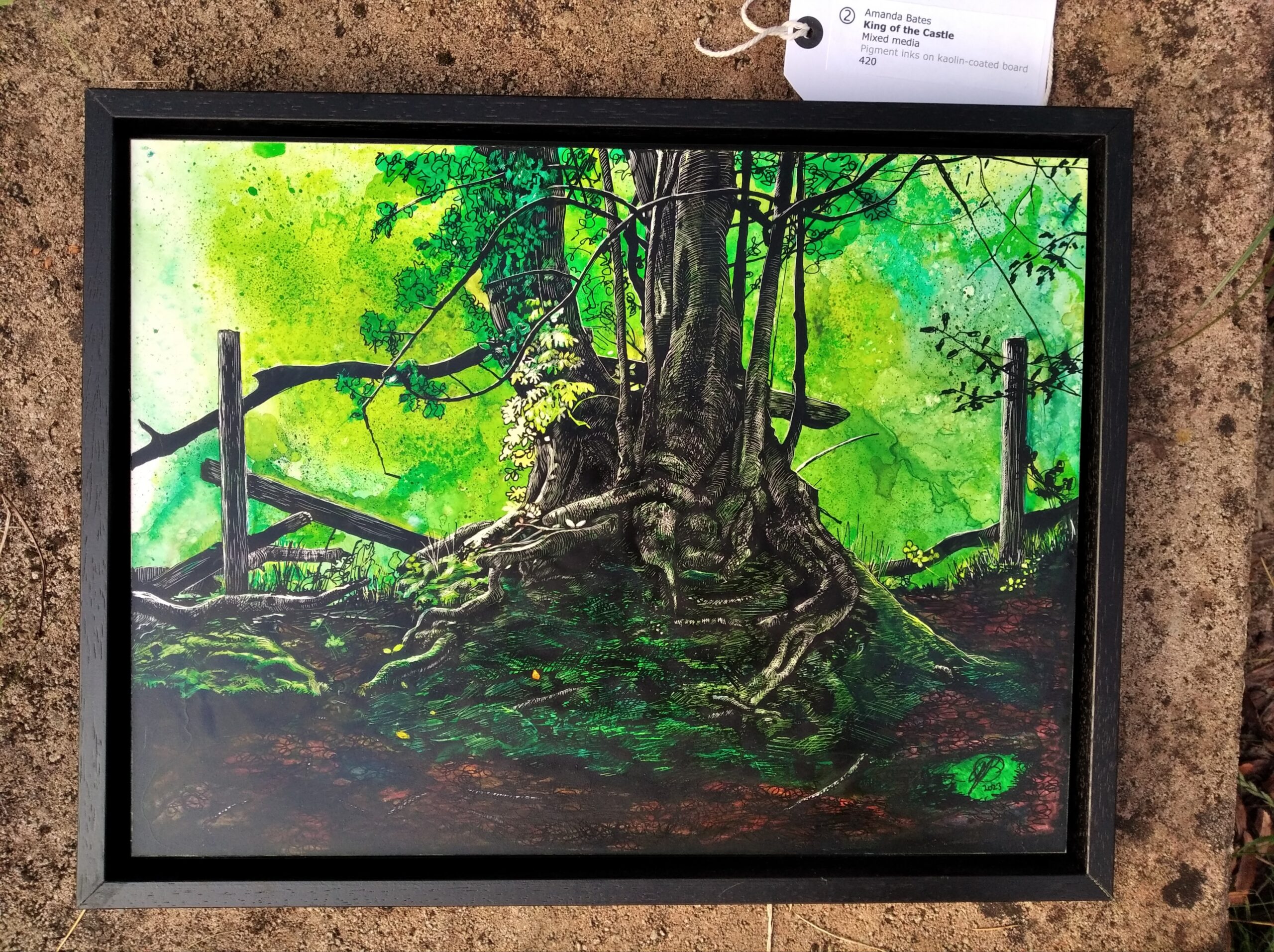 King of the Castle – Amanda Bates art